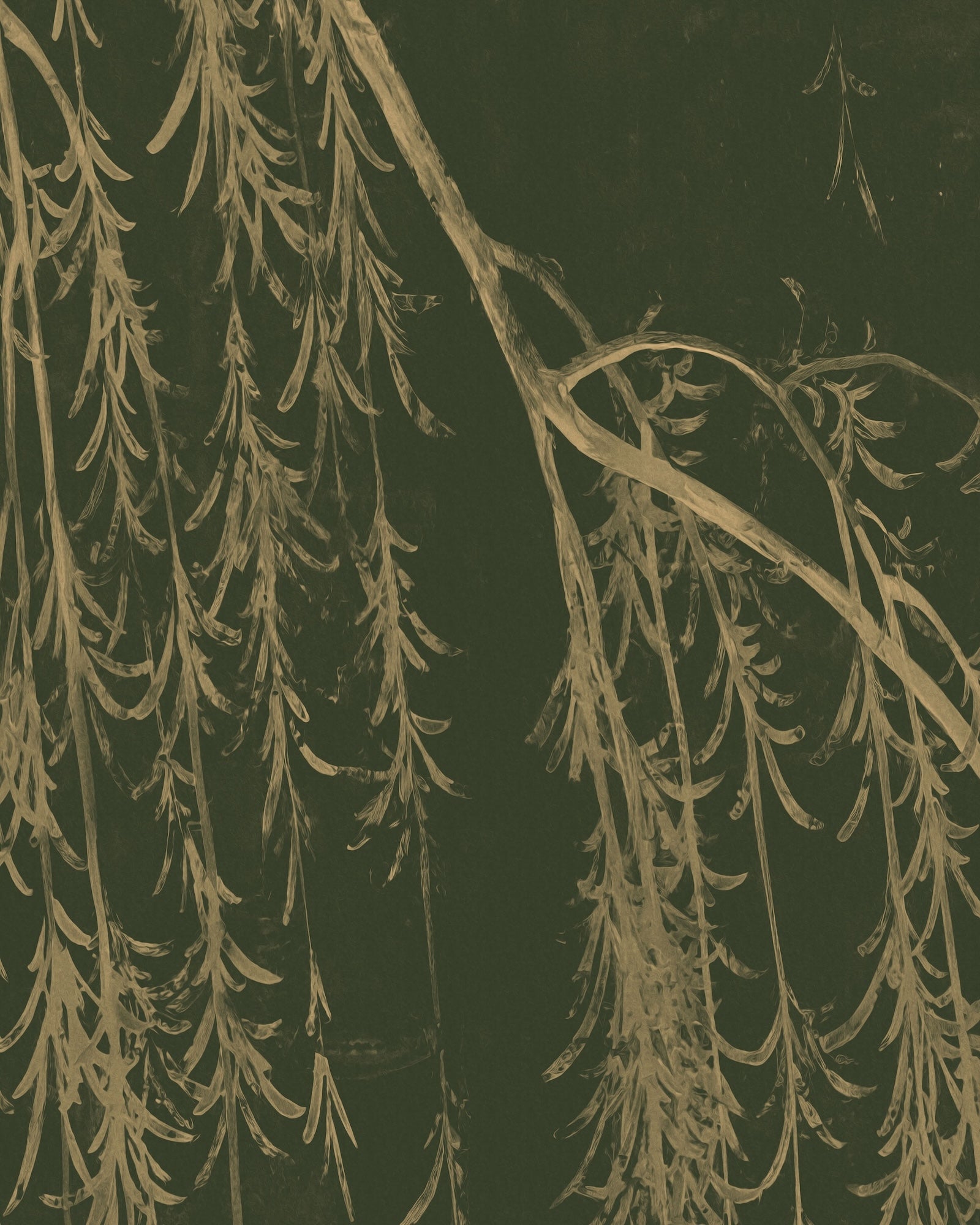 Greenly Living — Willow Wall Mural Set A Gilded Emerald | Serene ...