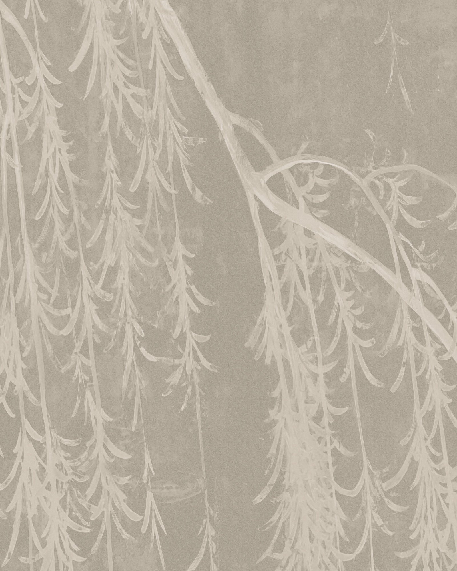 Greenly Living — Willow Wall Mural Set A Silk Beige | Serene Japanese ...