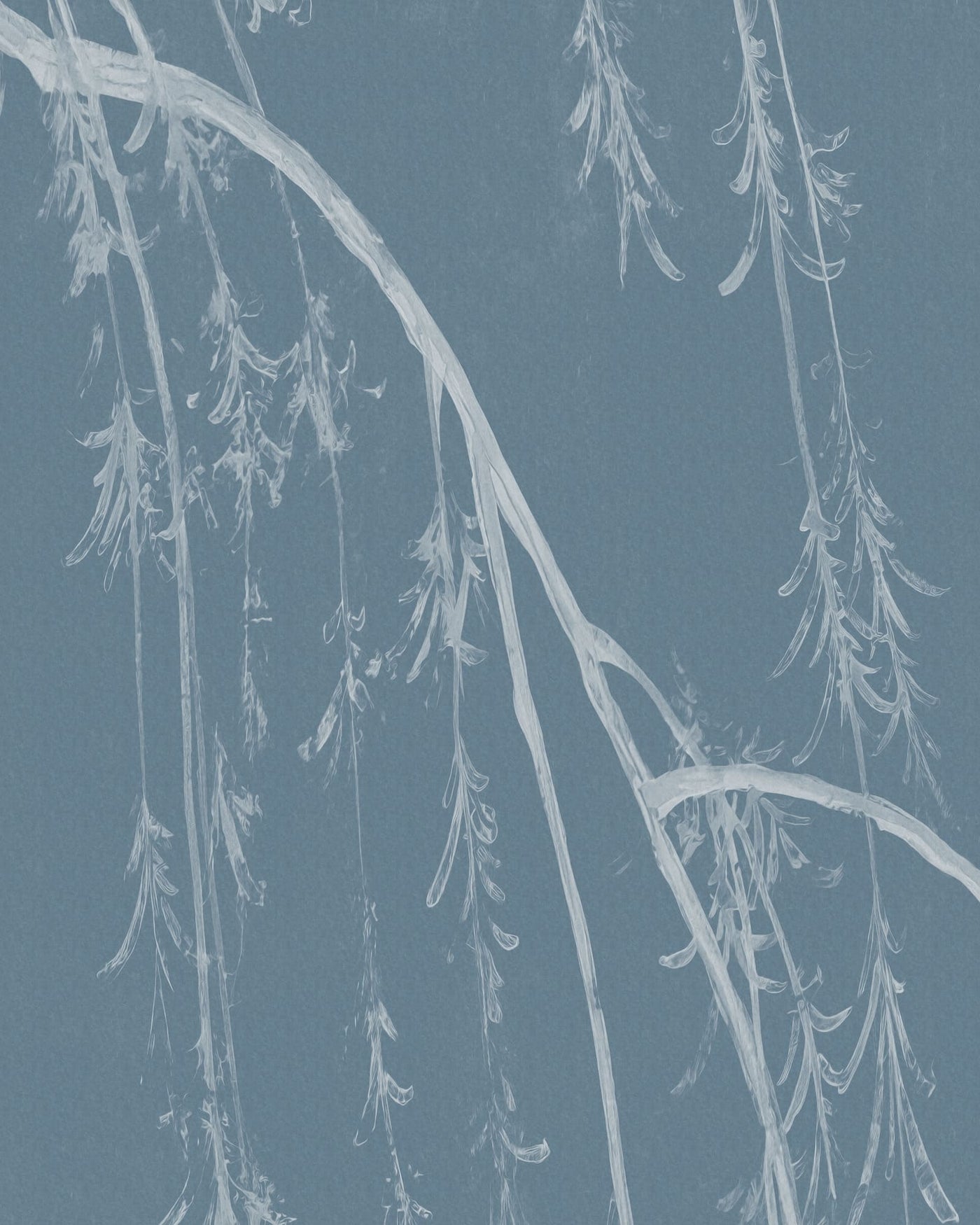 Greenly Living — Willow Wall Mural Set C Indigo Blue | Serene Japanese ...