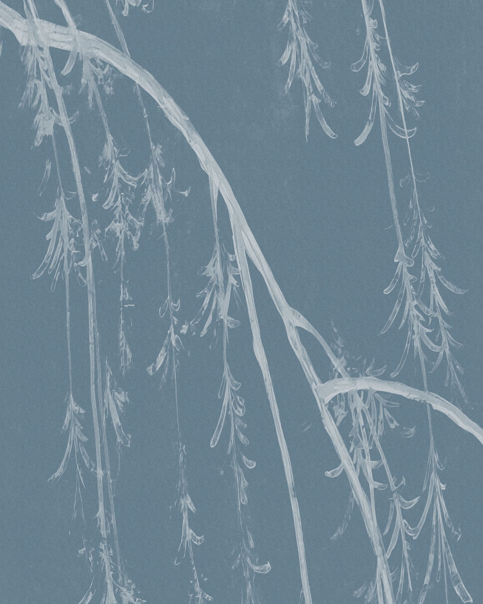 Greenly Living — Willow Wall Mural Set C Indigo Blue | Serene Japanese ...