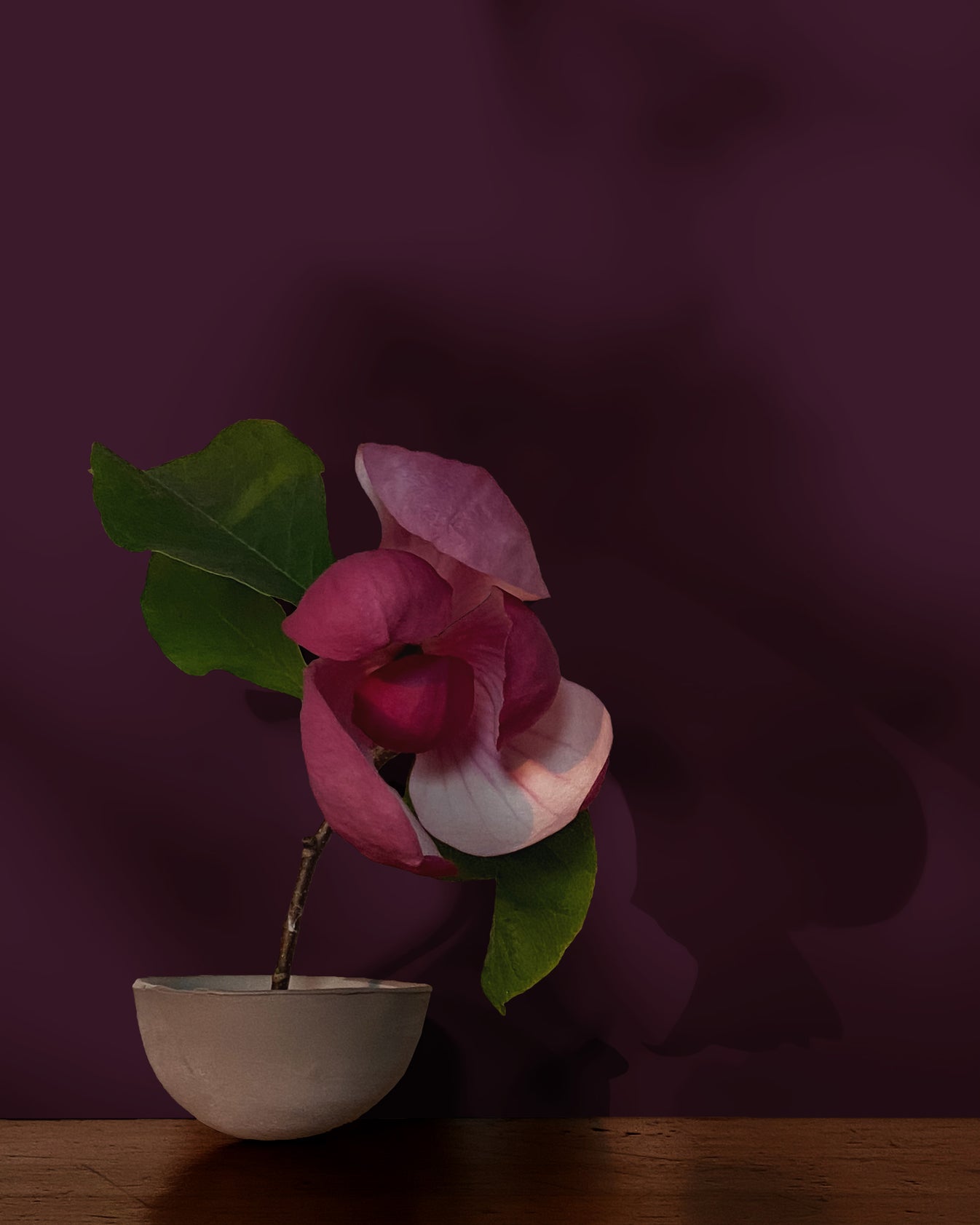 Solid Hue Wallpaper in Aubergine Purple | Luxury Minimalistic ...